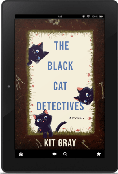🐈‍⬛Virtual Book Tour & Book Review & #Giveaway: The Black Cat ...